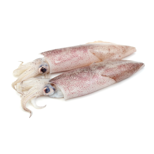 Calamar Fresco aprox 500 gr